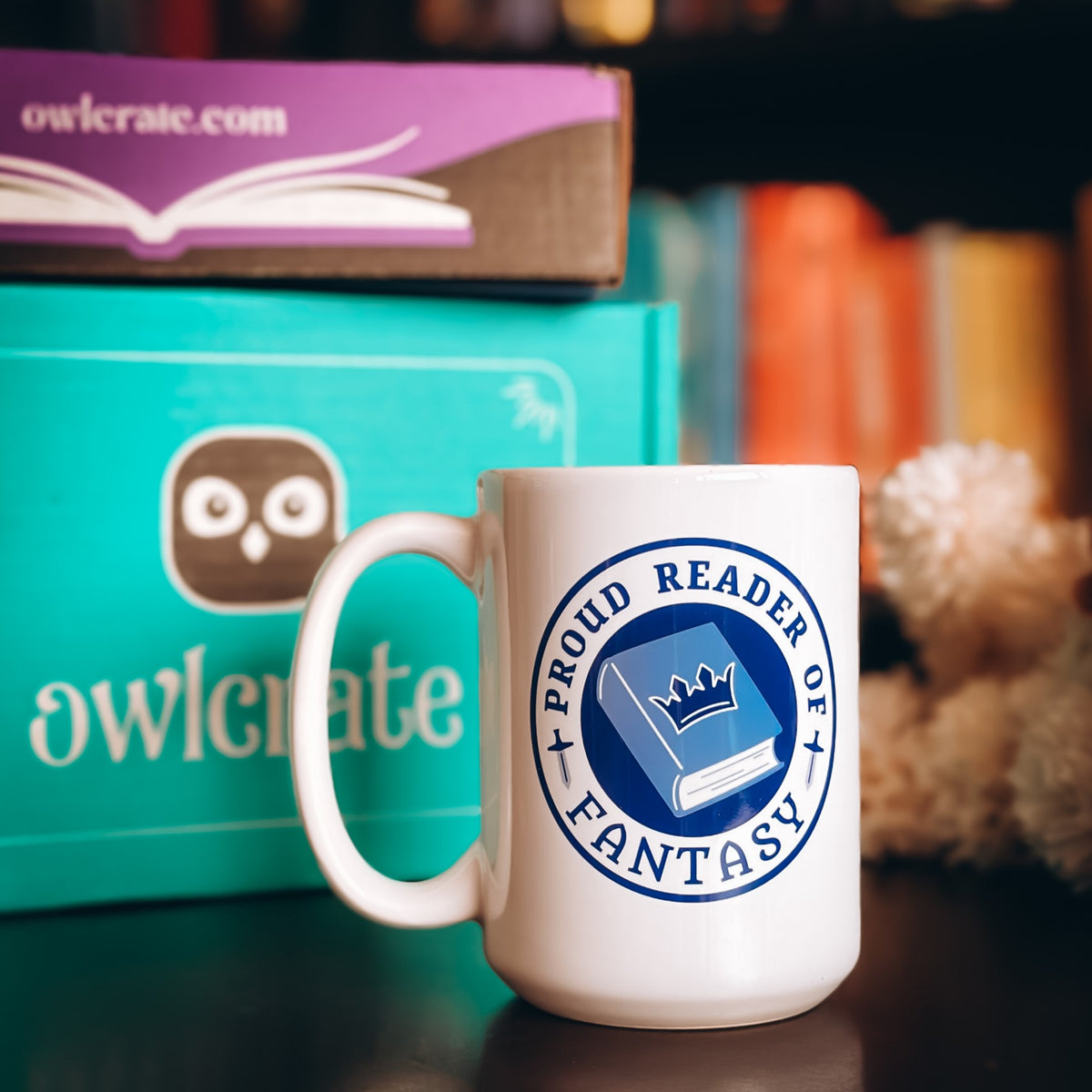 Fantasy Reader Mug – OwlCrate