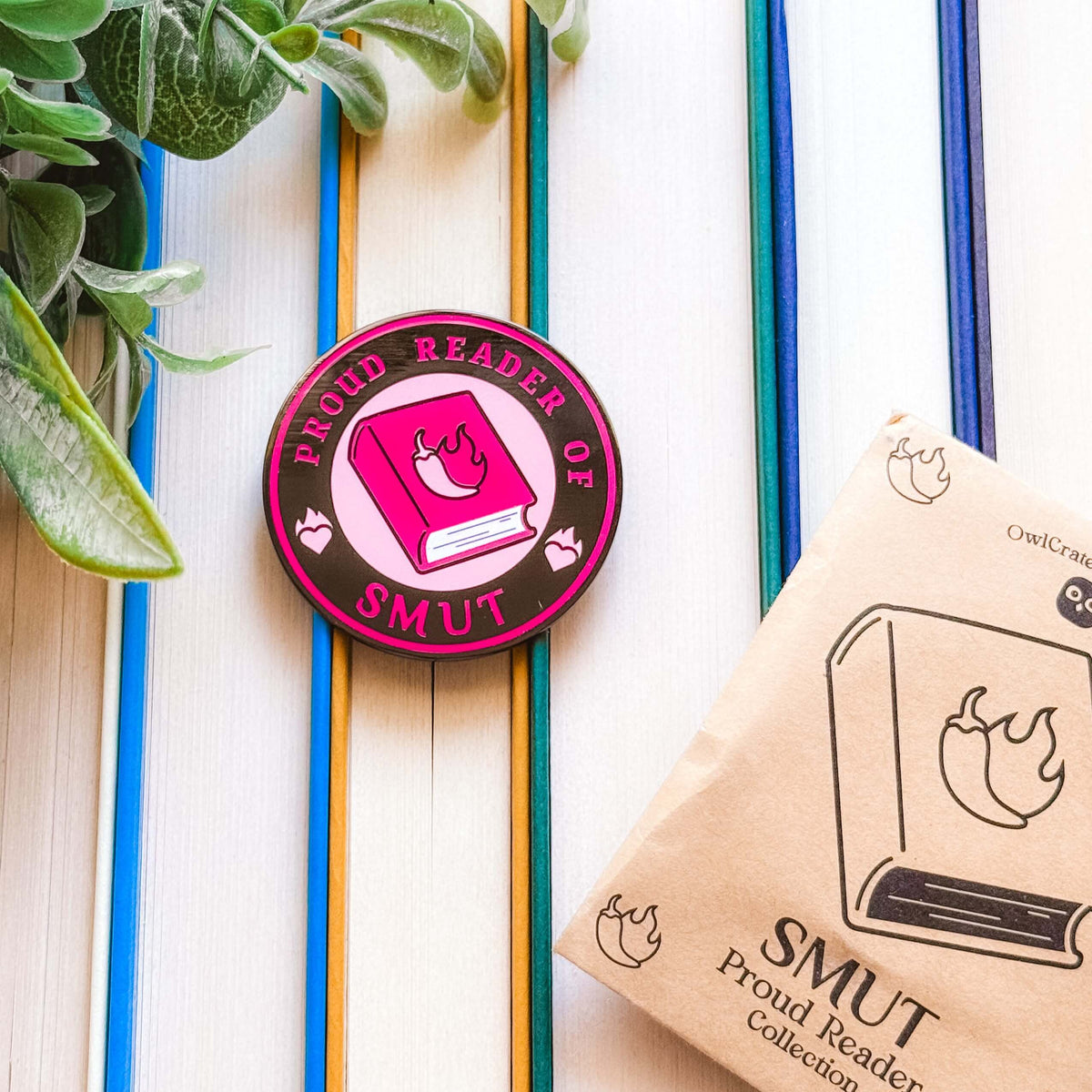 Smut Reader Pin – OwlCrate