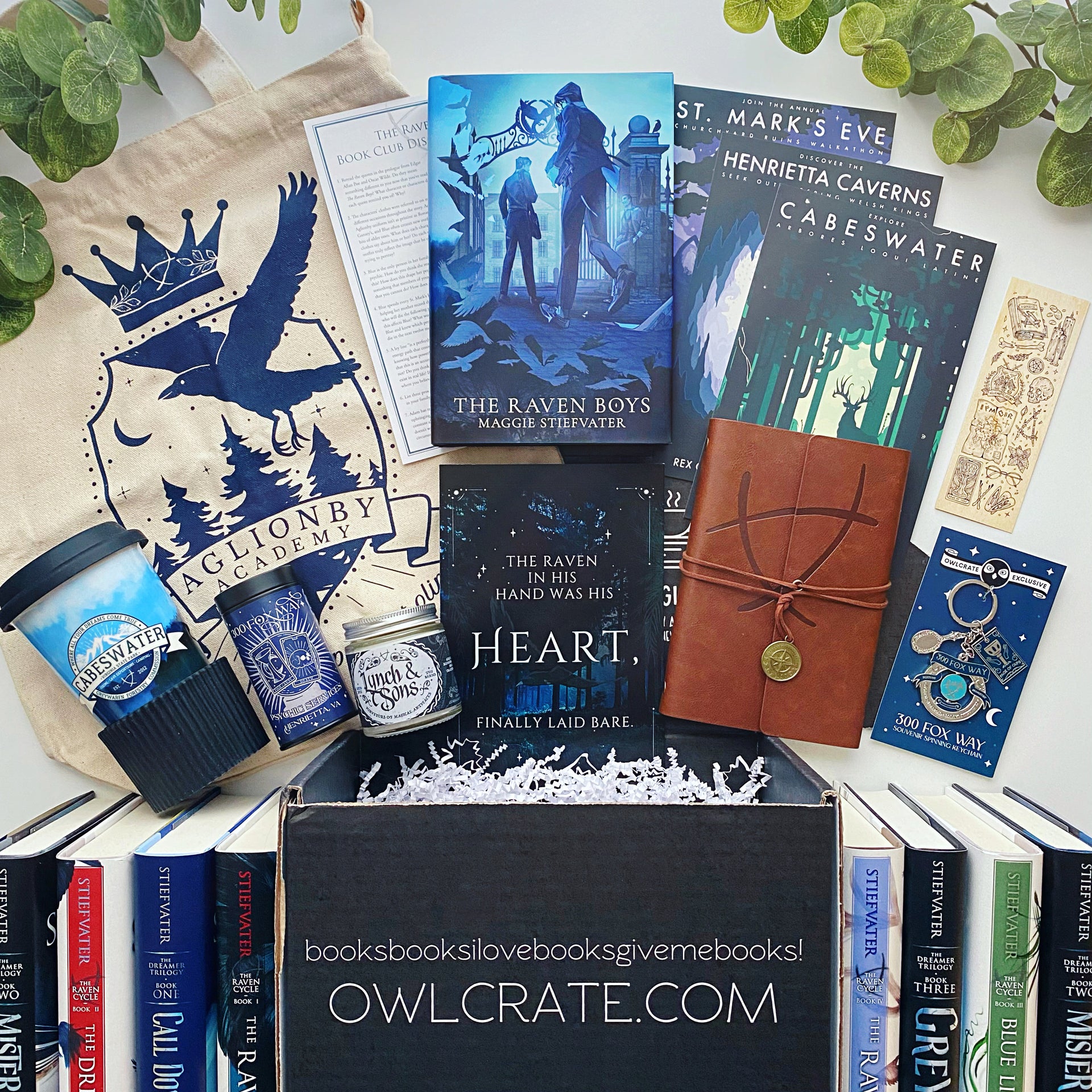 THE RAVEN BOYS ANNIVERSARY BOX – OwlCrate