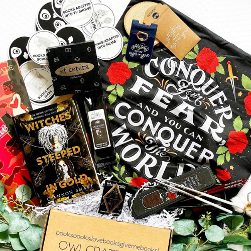 RUTHLESS RIVALS - OwlCrate