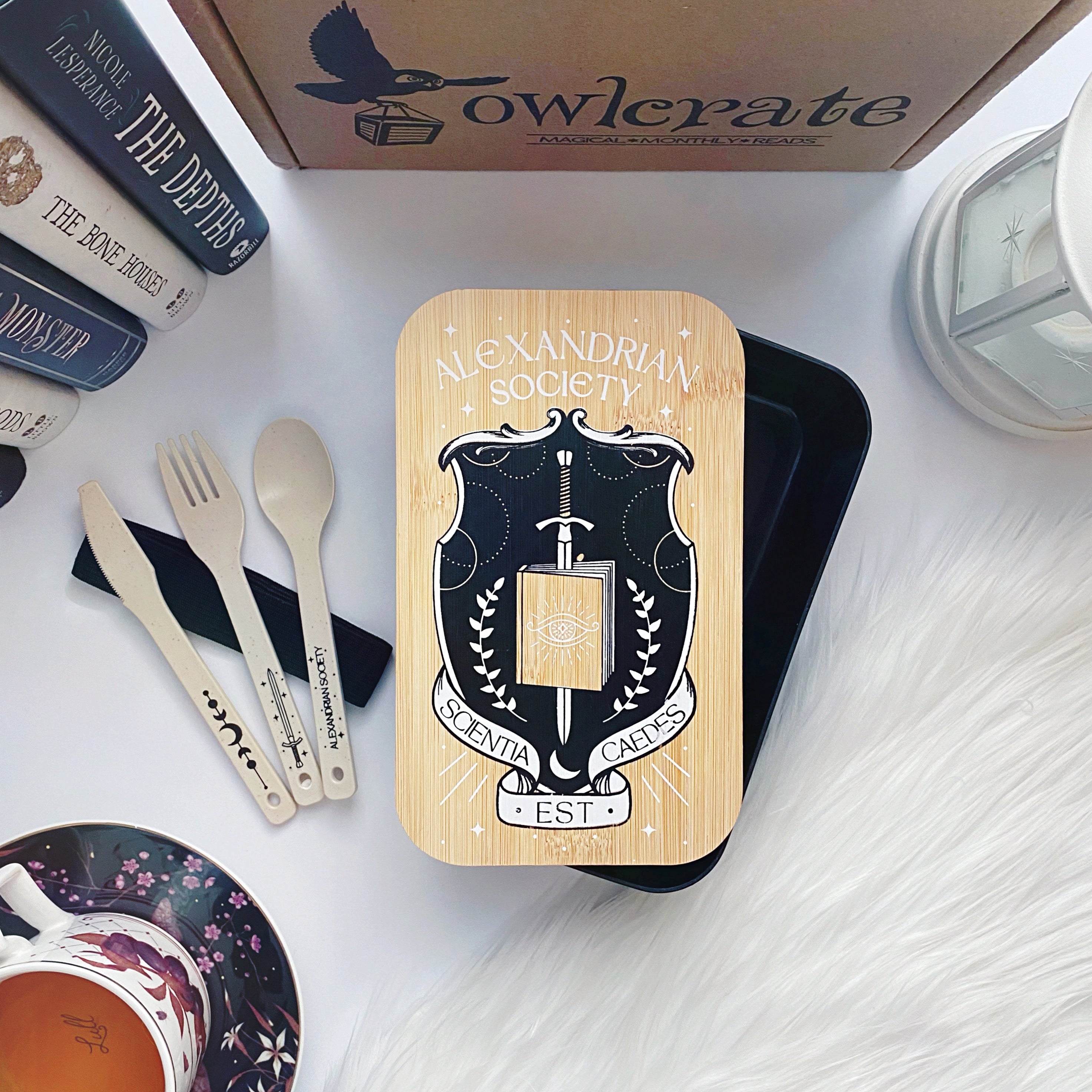 Bento Box Set